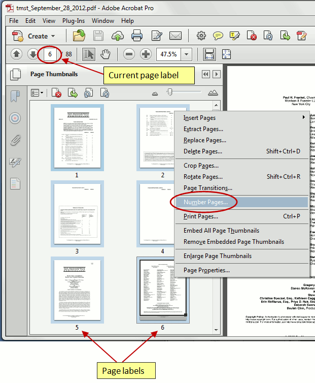 How To Number Pages In PDF Document
